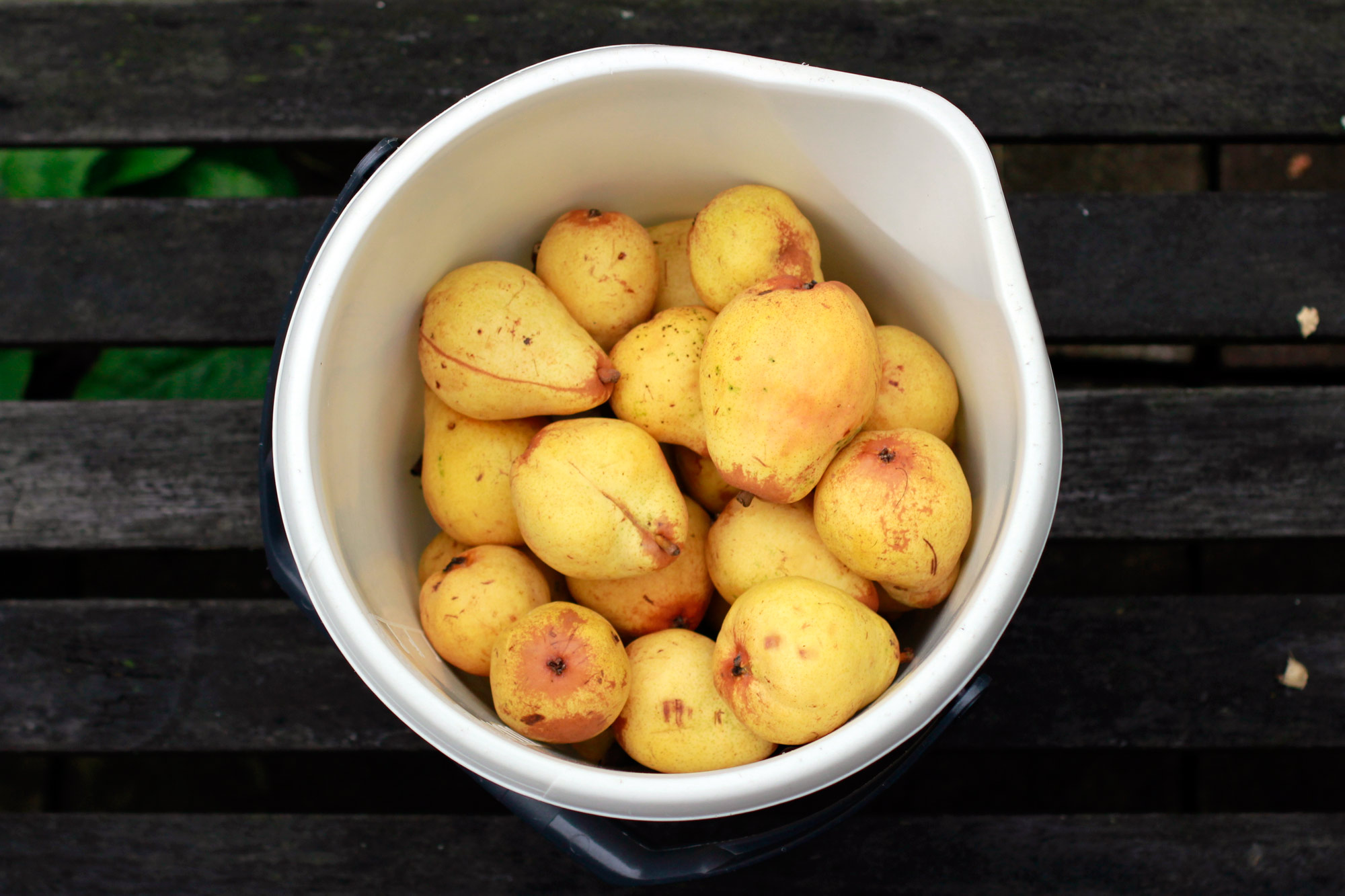 Pear and raspberry jam | Les Jardins d'ici