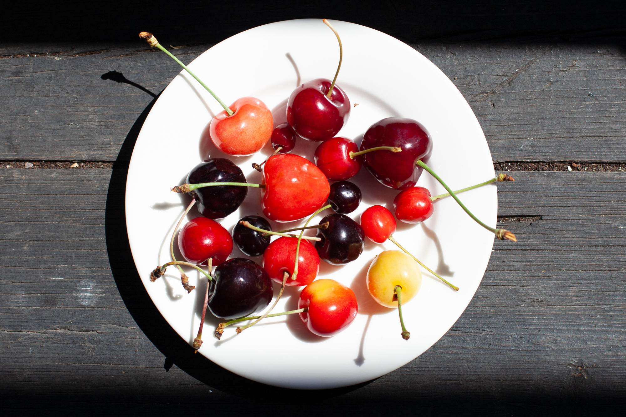 The rejuvenation of Brogdale’s cherry collection | Les Jardins d'ici